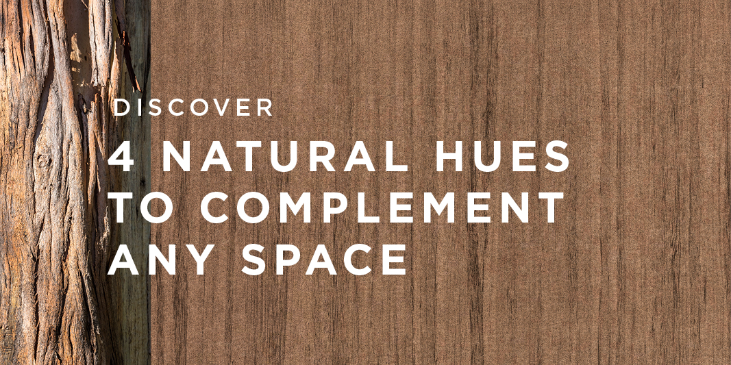 Introducing Zintra Timber + Sticks - MDC Wall